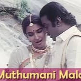 🌷Muthumani Malai - Short HQ - Song Lyrics and Music by Muthumani Malai ...