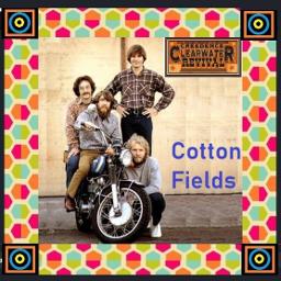 Cotton Fields - Song Lyrics and Music by arranged by MelkyDlima on ...