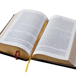 Njan Jeevikkunnu En Priyanayi - Song Lyrics and Music by Ruby V Mathew ...