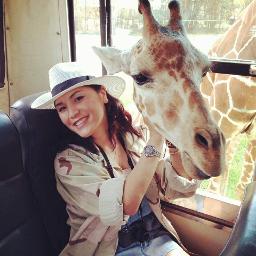 Cinderella work song - Song Lyrics and Music by Cinderella (disney ...