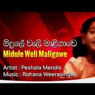 midule weli maligawe - Song Lyrics and Music by peshala mendis arranged ...