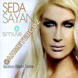 Seda Sayan - Boşvere Boşvere ORJ - Song Lyrics and Music by Seda Sayan arranged by AHMETERGOZ on ...