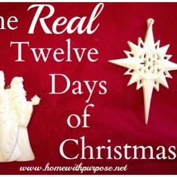 The Real 12 Days Of Christmas - Piano - Song Lyrics and Music by ...