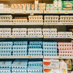 One True Vine - Song Lyrics and Music by Wilco (Covered By John Slaten ...