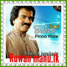 Pinna Male Suda..පින්න මලේ සුද - Song Lyrics and Music by Edward ...