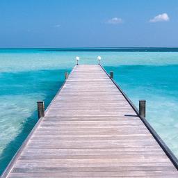 Que bueno, que bueno - Song Lyrics and Music by Jarabe de Palo y Jorge ...