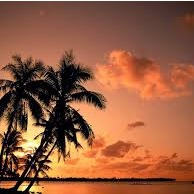 Move It - Song Lyrics and Music by ZARA LEOLA arranged by T3Y_ViviCinok ...