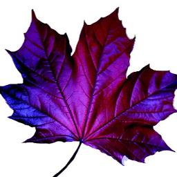 အရမ္းလြမ္းေနျပီ - ေမဆြိ - Song Lyrics and Music by ေမဆြိ May Sweet ...