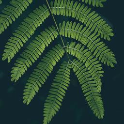 fhfgh - Song Lyrics and Music by hghgh arranged by bnzkrsnnn on Smule ...