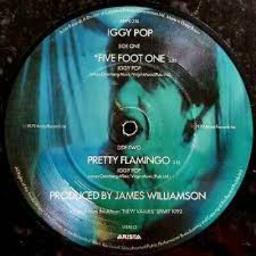 Five Foot One - Song Lyrics and Music by Iggy Pop arranged by ...