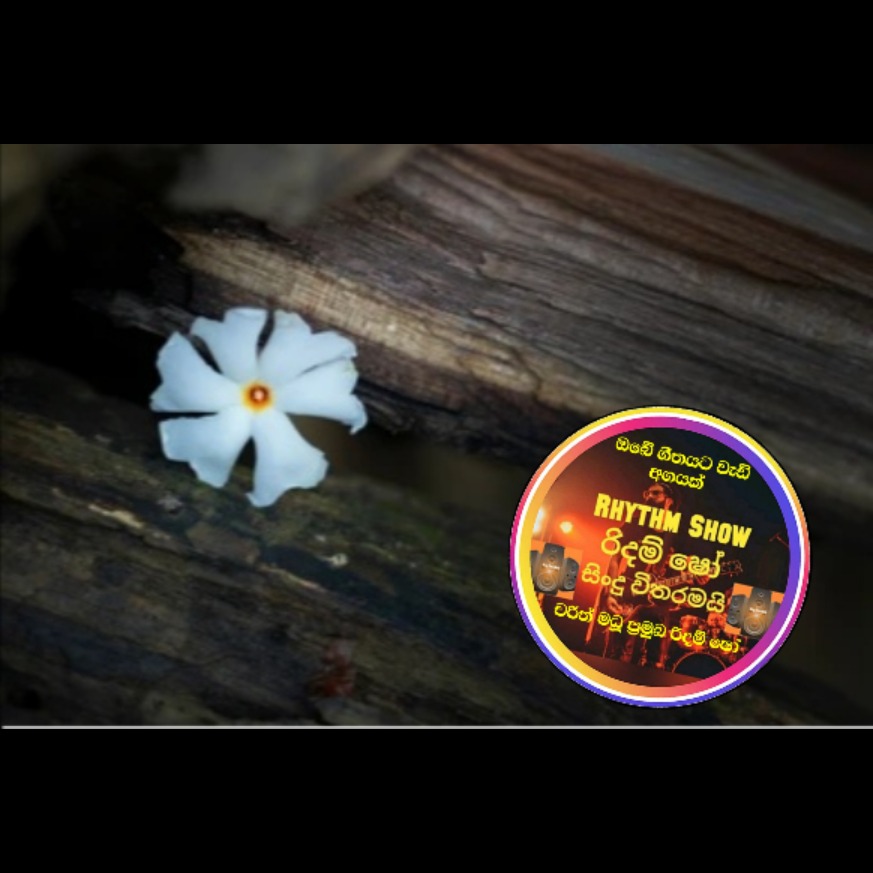 Sepalika Malai - Song Lyrics and Music by Jayasiri Amarasekara - with ...