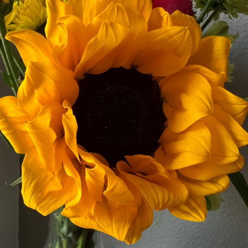 Edward Jayakody - pinna male suda පින්න මලේ සුද by KhSheri and ...