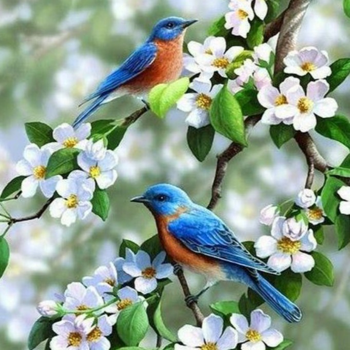 ချိုပြုံး-Cho Pyone - မဲဇာမြိုင် Unicode by WilliamWin1707 on Smule ...